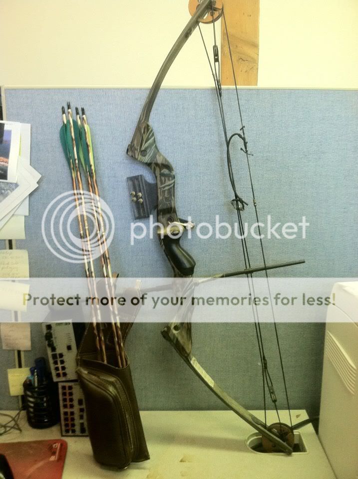 I was gifted an Alpine Rebel, advice and tips appreciated. > General ...