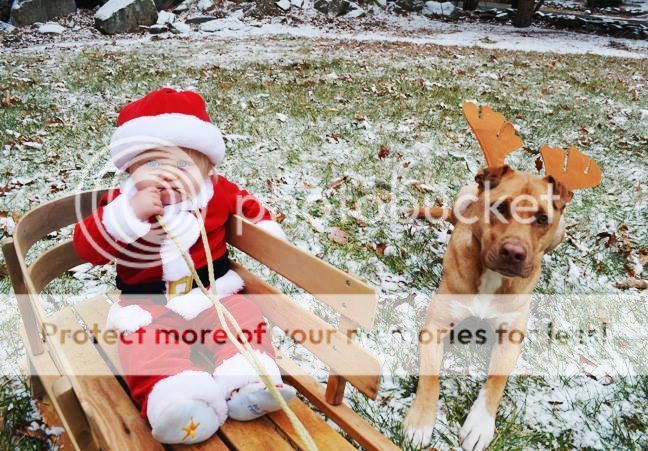 Broken Dag needs $7-8000 in repairs. - AR15.COM